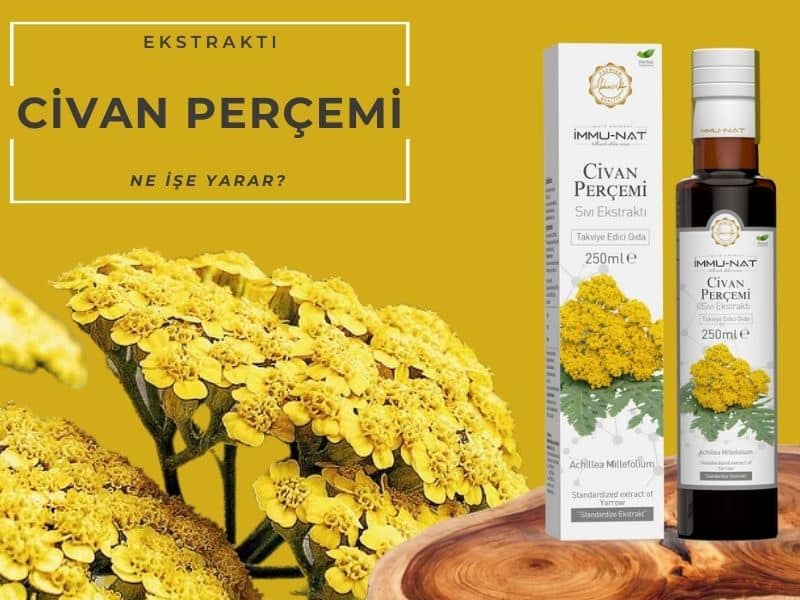 9 Maddede Civan Perçemi Faydaları - İmmunat Marketing
